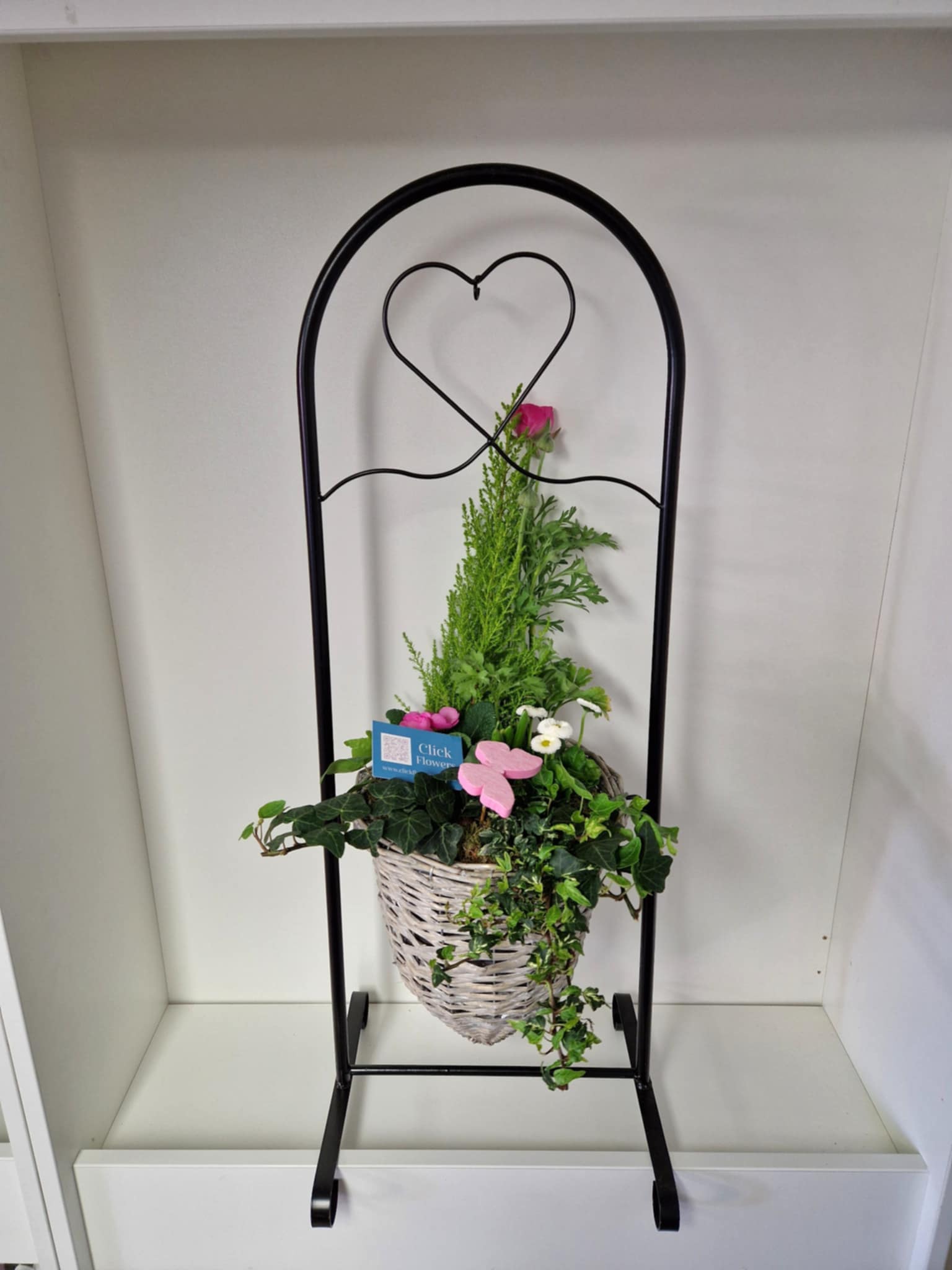 Click Flowers & Plants - Produce Link, Spalding UK | Flowers & Plants ...