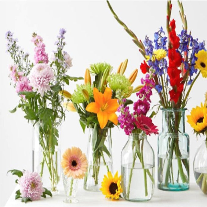 Click Flowers & Plants - Produce Link, Spalding UK | Flowers & Plants ...